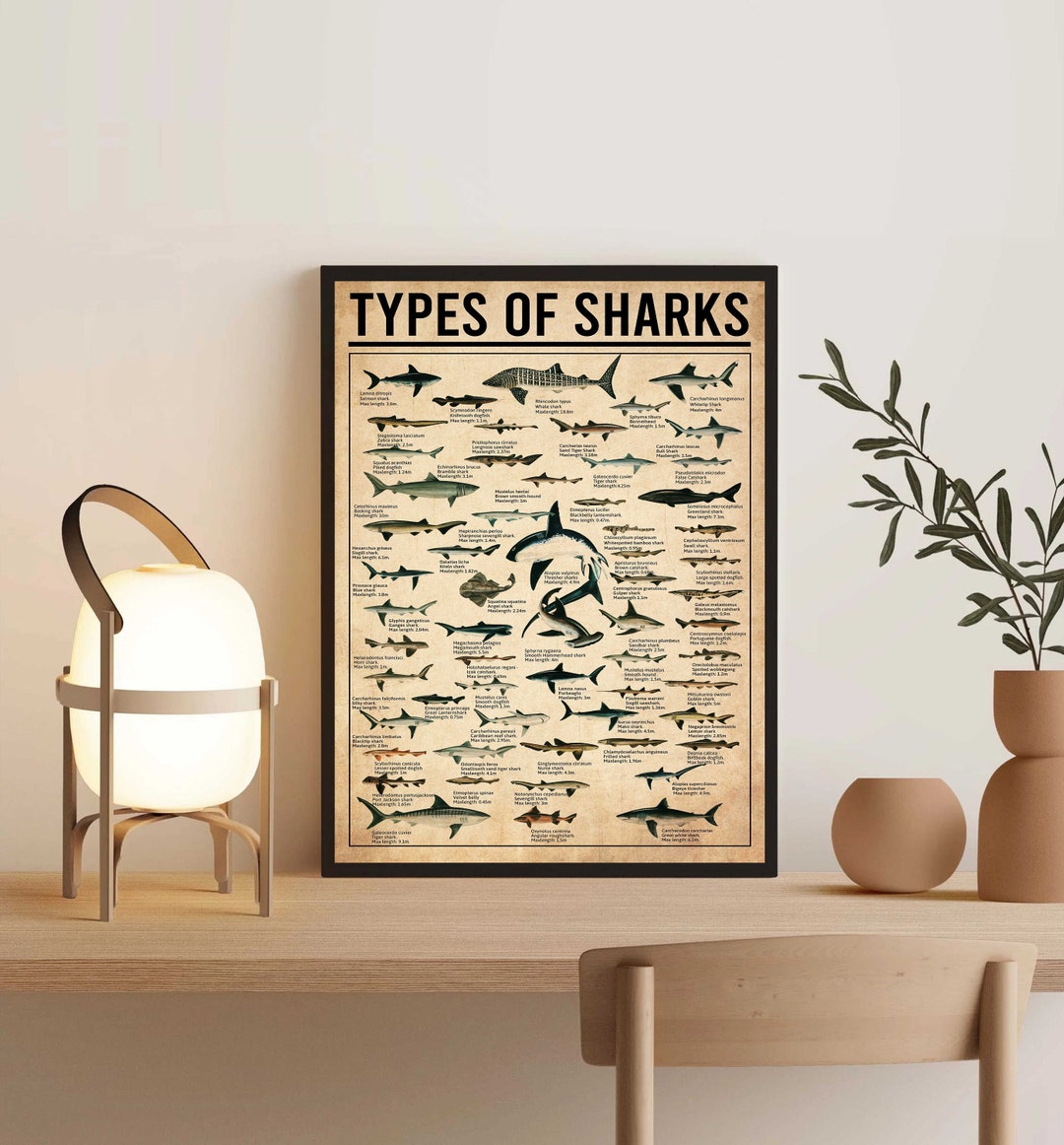 Unframed Types of Sharks , Sharks Vintage Poster, Shark Lover Gift ...