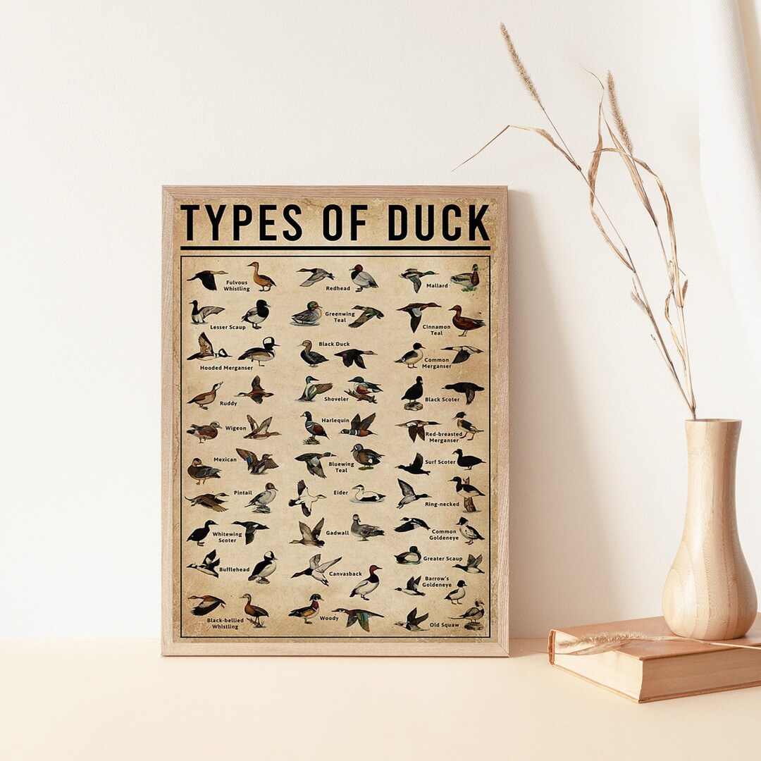 Types of Duck Poster, Vintage Knowledge Print, Duck Lover Gift, Duck of ...