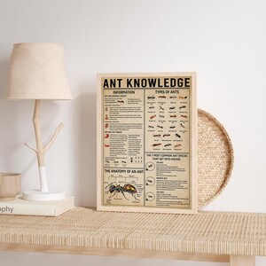 Unframed Ant Knowledge Poster, Types of Ants Vintage Poster, Ant Lover ...