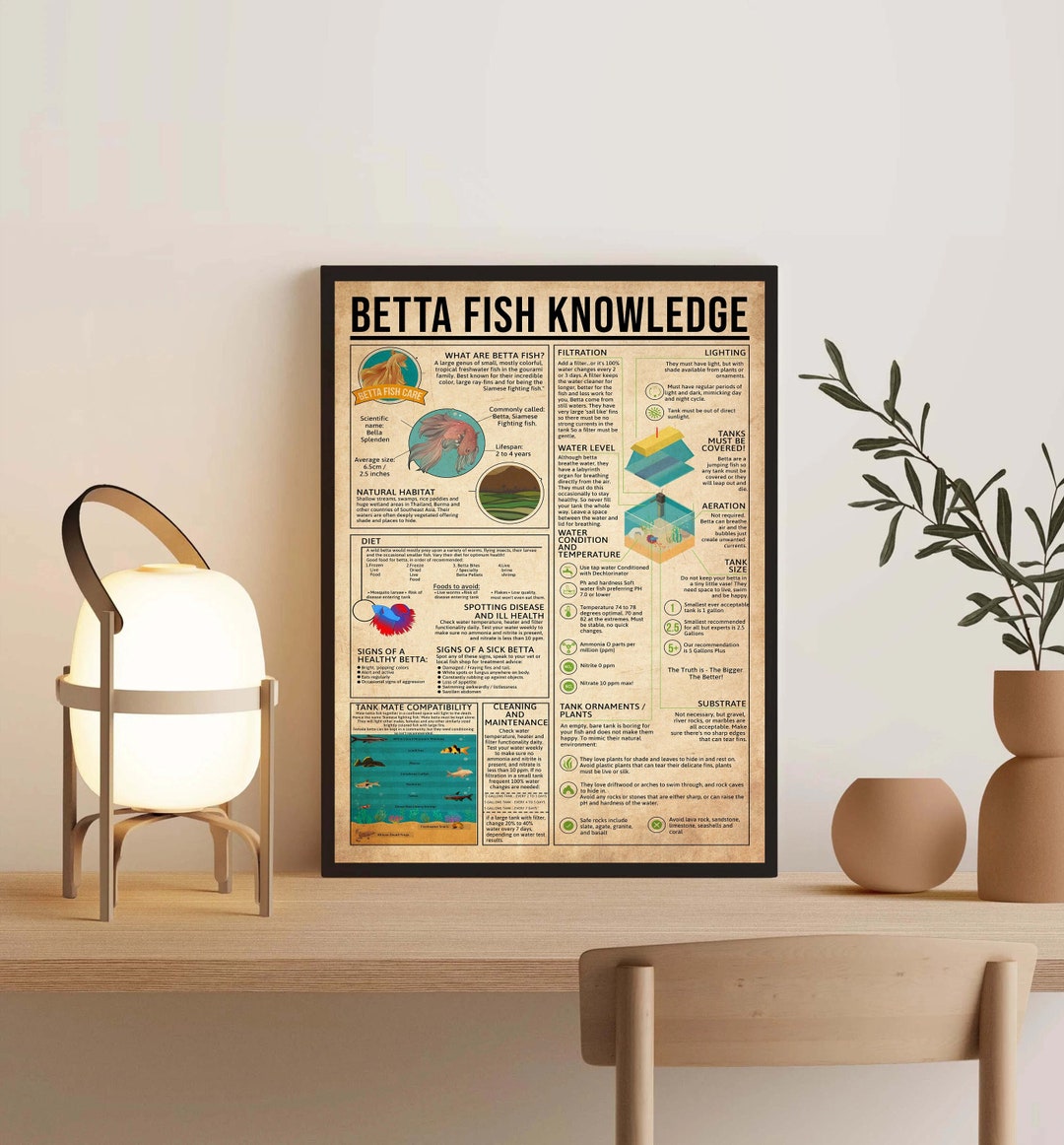 Unframed Betta Fish Knowledge Poster, Betta Fish Vintage , All About ...