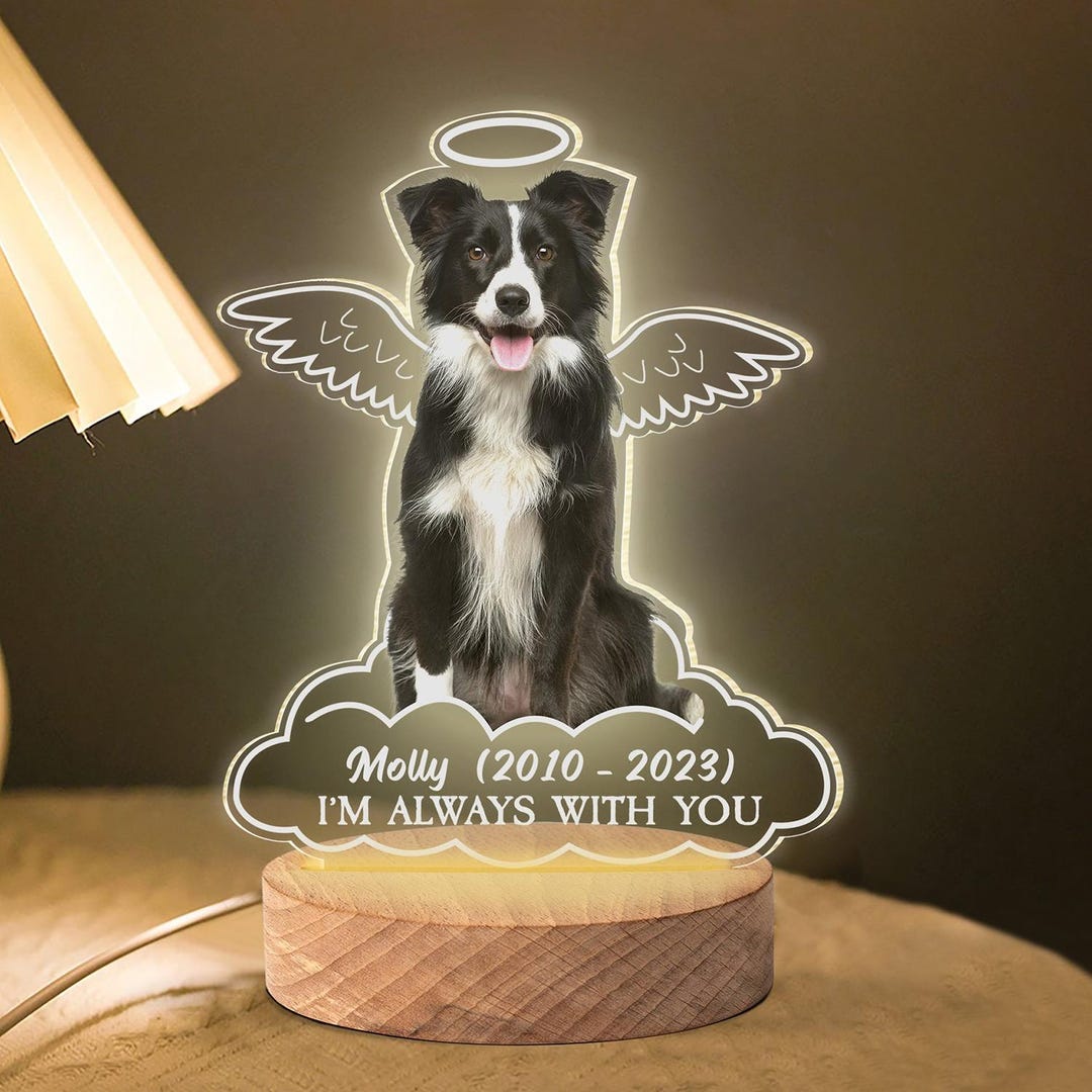Custom Pet Memorial Night Light, Personalized Pet Photo Night Light ...