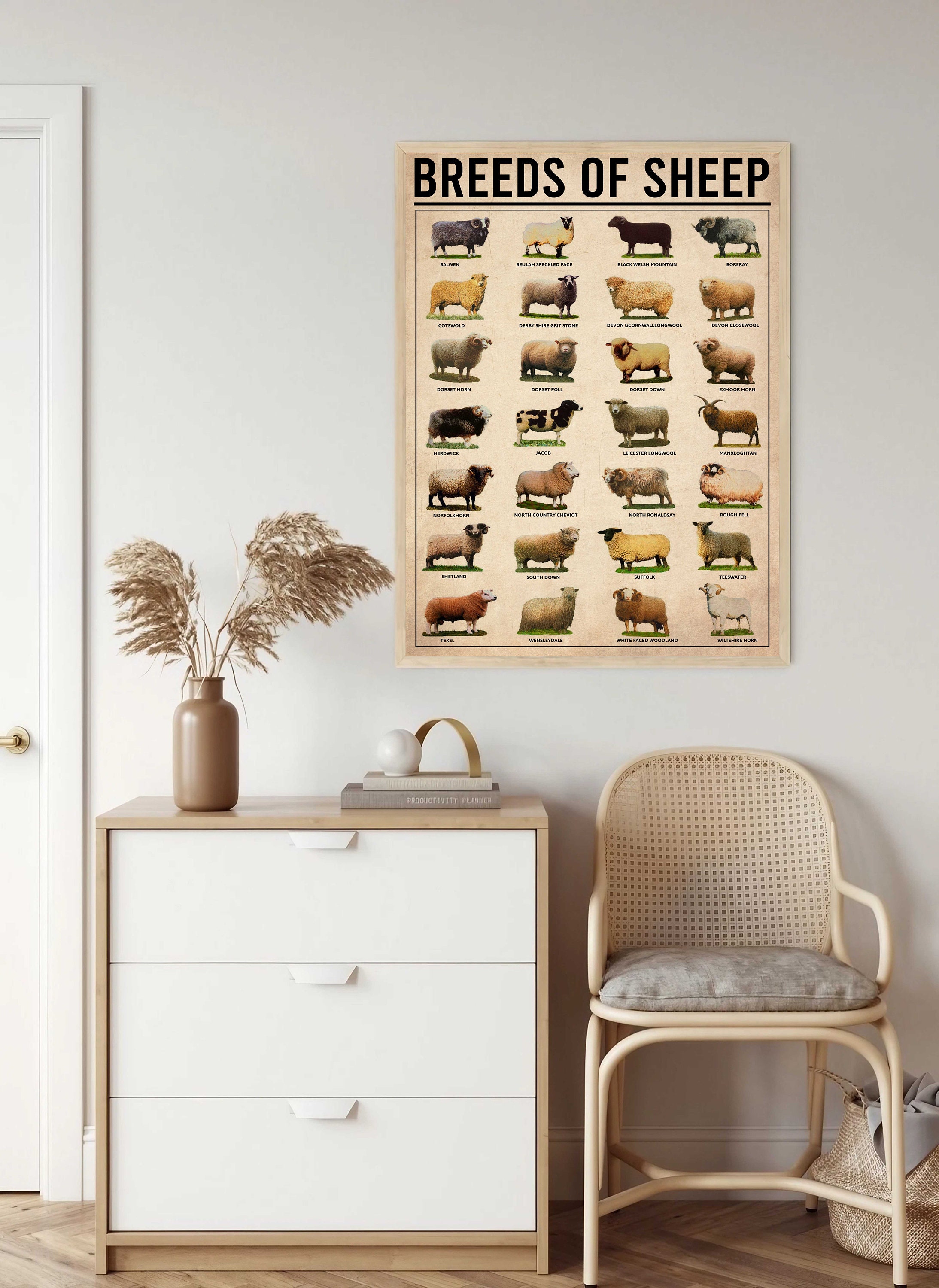 Unframed Breeds of Sheep Knowledge Poster, Vintage Sheep Farm Poster ...