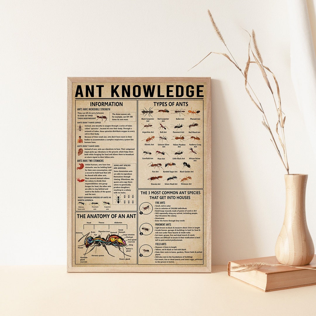 Unframed Ant Knowledge Poster, Types of Ants Vintage Poster, Ant Lover ...