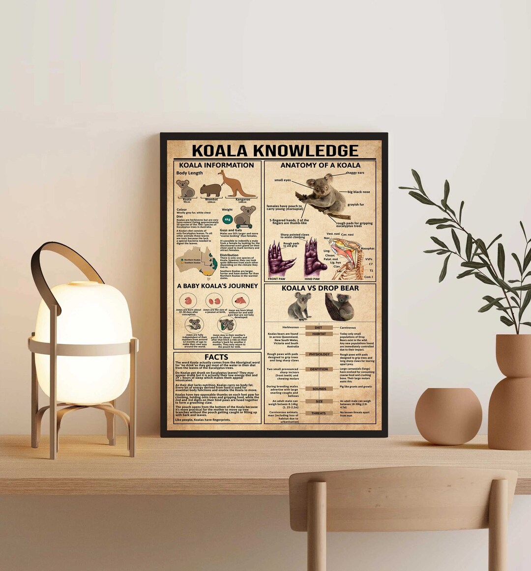 Koala Knowledge Art Print, Koala Vintage Poster, All About Koala, Koala ...