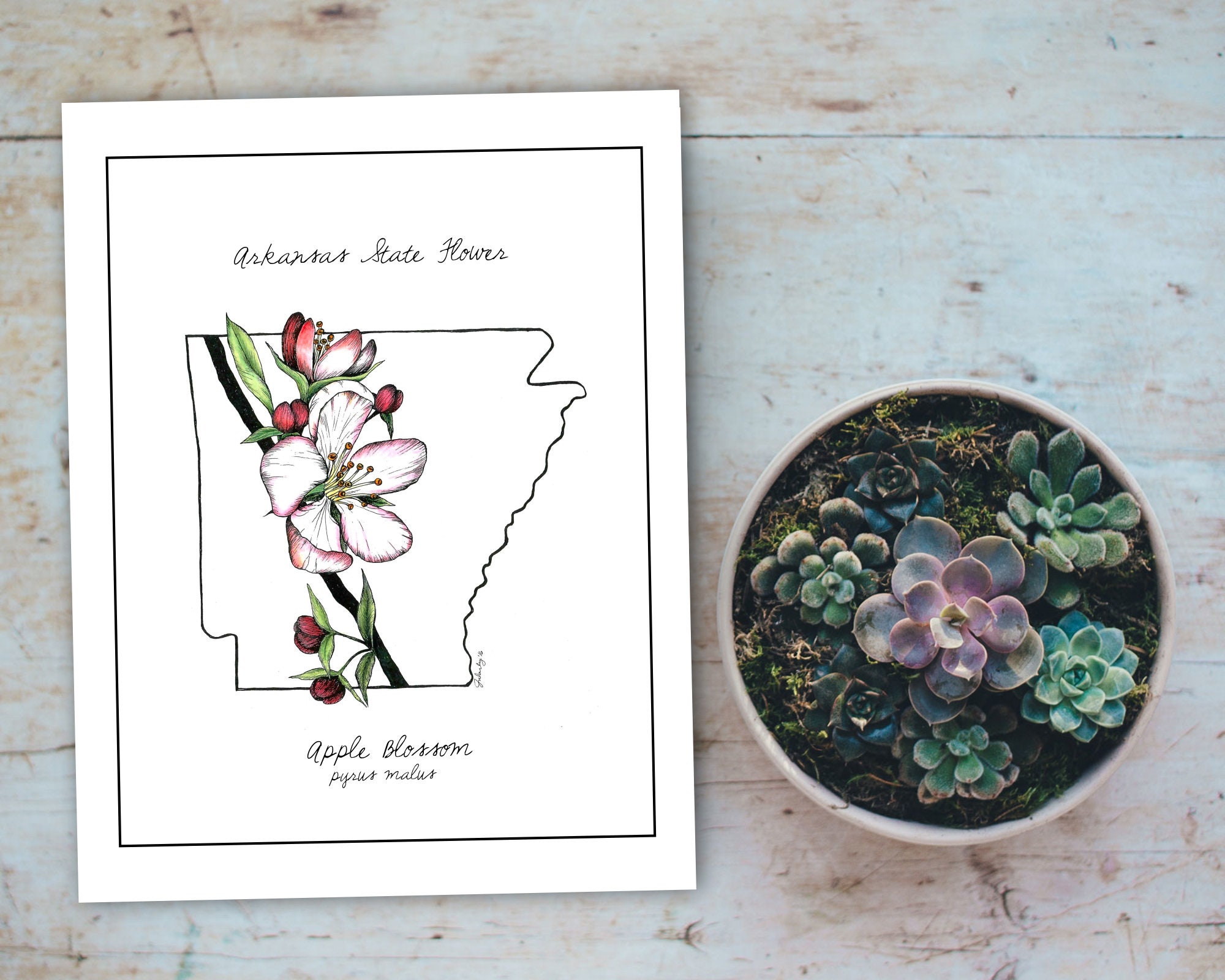 Arkansas State Symbols 3 Art Prints 8x10, Honeybee, Pine Tree, Apple ...