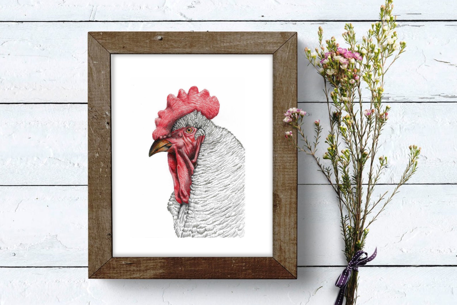Chicken Art Print, Barred Rock Rooster, Black and White Chicken ...