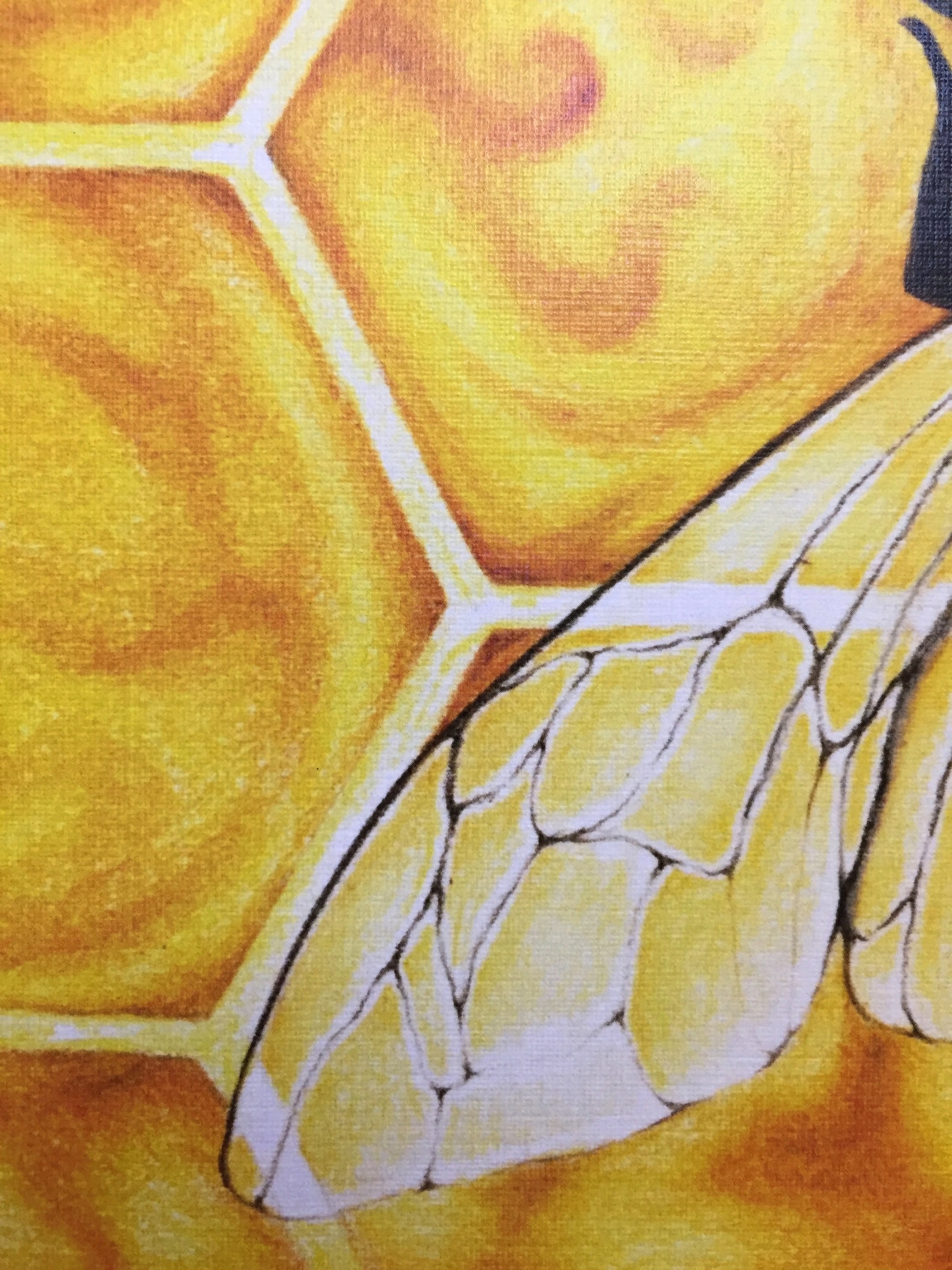 Bee & Honeycomb art print Garden Art Save the Bees Sweet as | Etsy