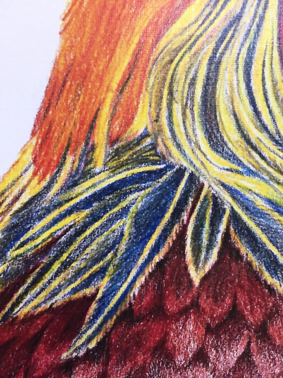 Colorful Rooster Art Print Fancy Chicken Farmhouse Style | Etsy