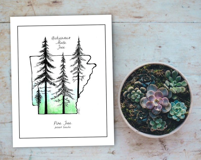 Arkansas State Symbols 3 Art Prints 8x10, Honeybee, Pine Tree, Apple ...