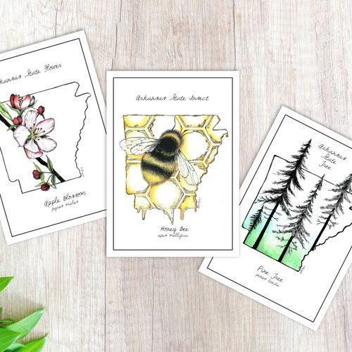 Arkansas State Symbols Illustration Print - Etsy