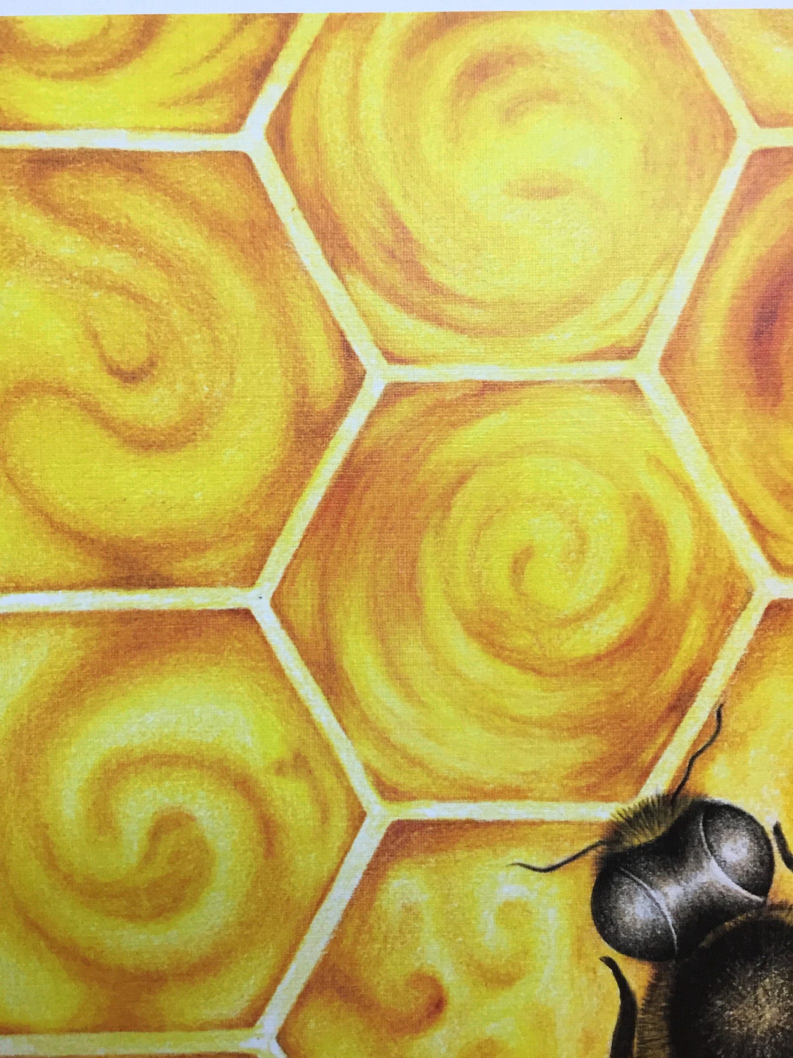 Bee & Honeycomb art print Garden Art Save the Bees Sweet as | Etsy