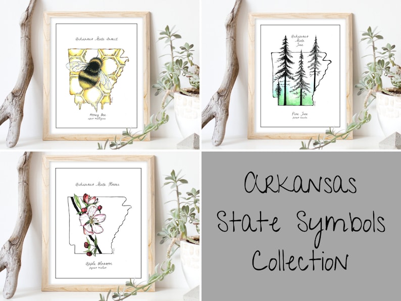 Arkansas State Symbols 3 Art Prints 8x10, Honeybee, Pine Tree, Apple ...