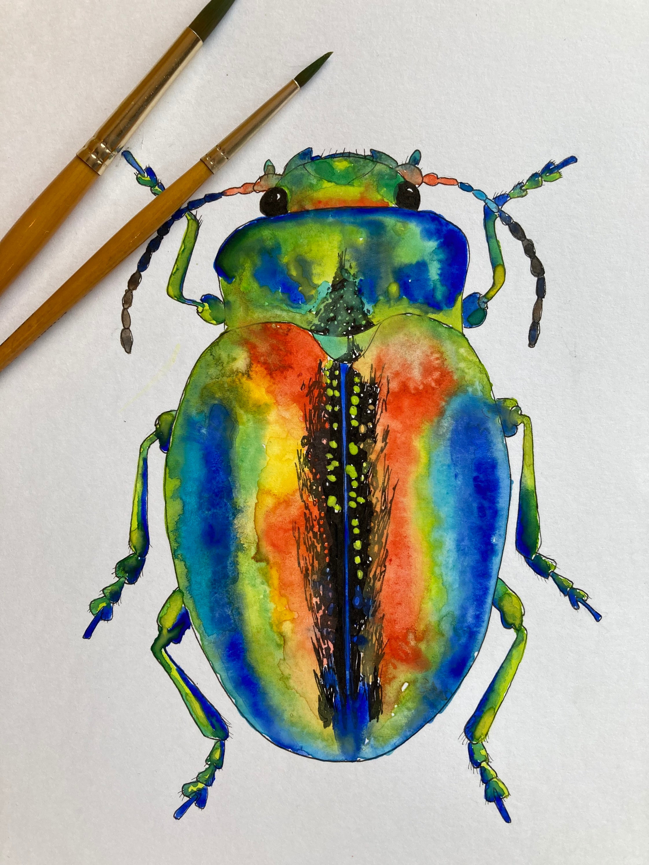 Original Beetle Watercolour Painting | Etsy