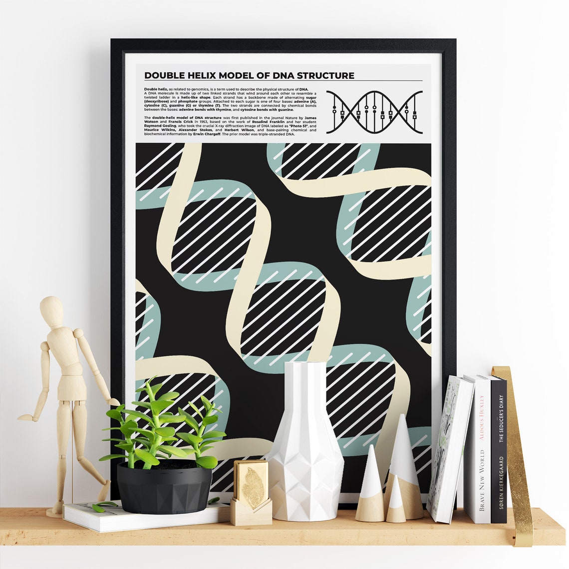 Double Helix Structure of DNA Poster Unframed Biology Print - Etsy Canada