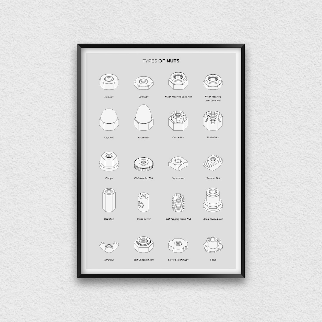 Types of Nuts Print for Mechanics, Basic Nut Knowledge Poster for ...