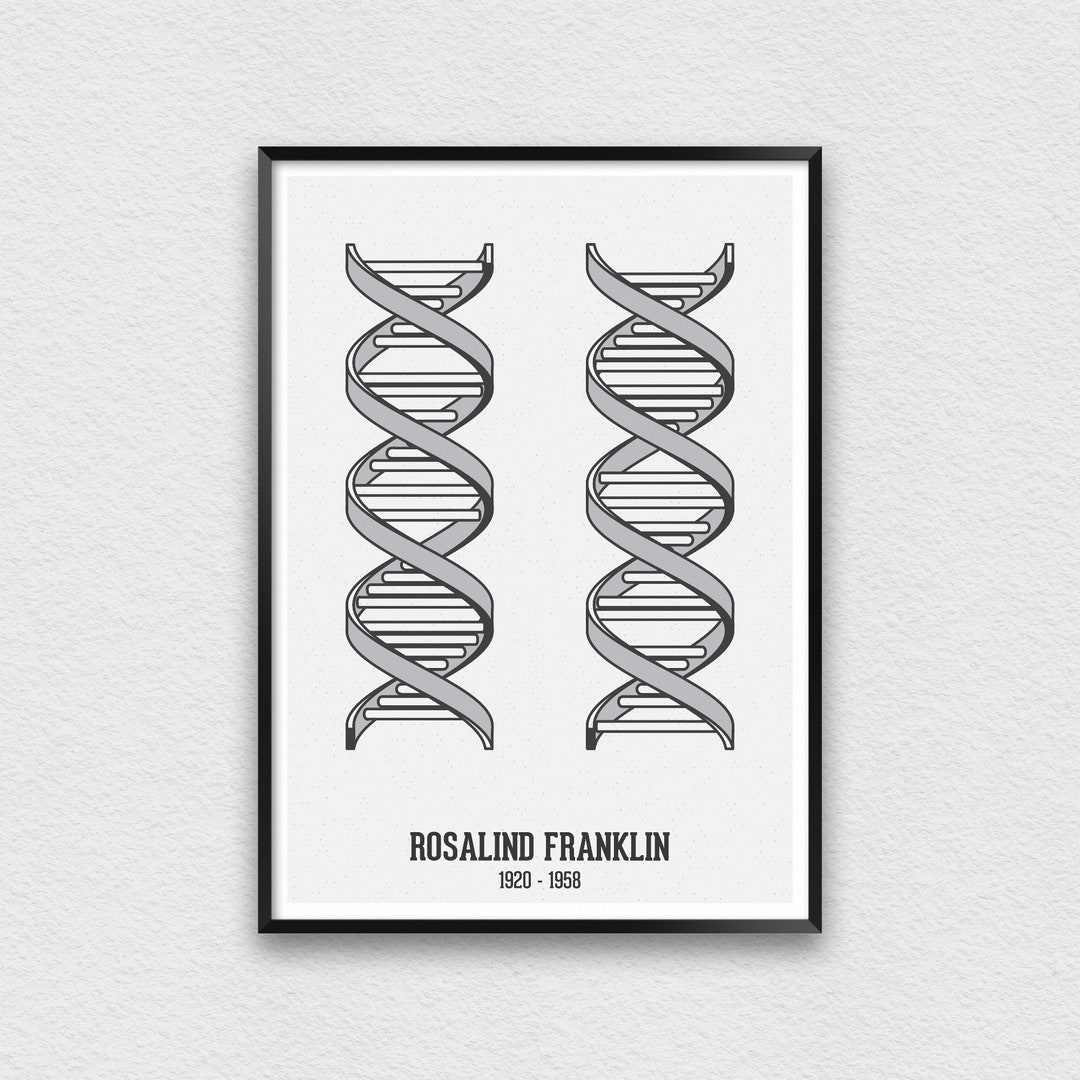 Rosalind Franklin DNA Print, Famous Scientist Poster, Women in Science ...