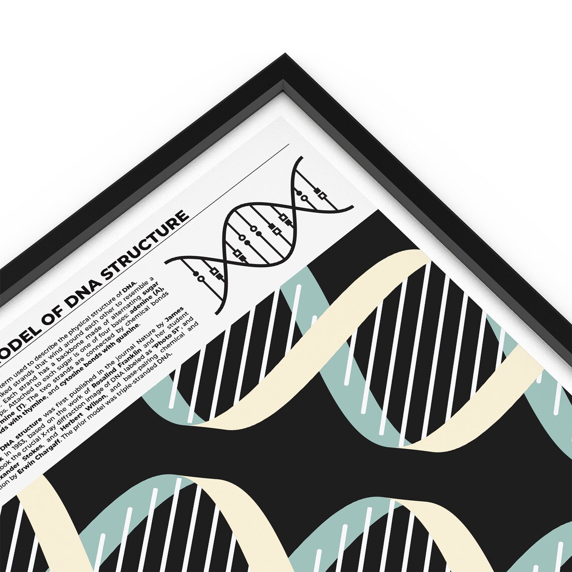 Double Helix Structure of DNA Poster Unframed Biology Print - Etsy Canada