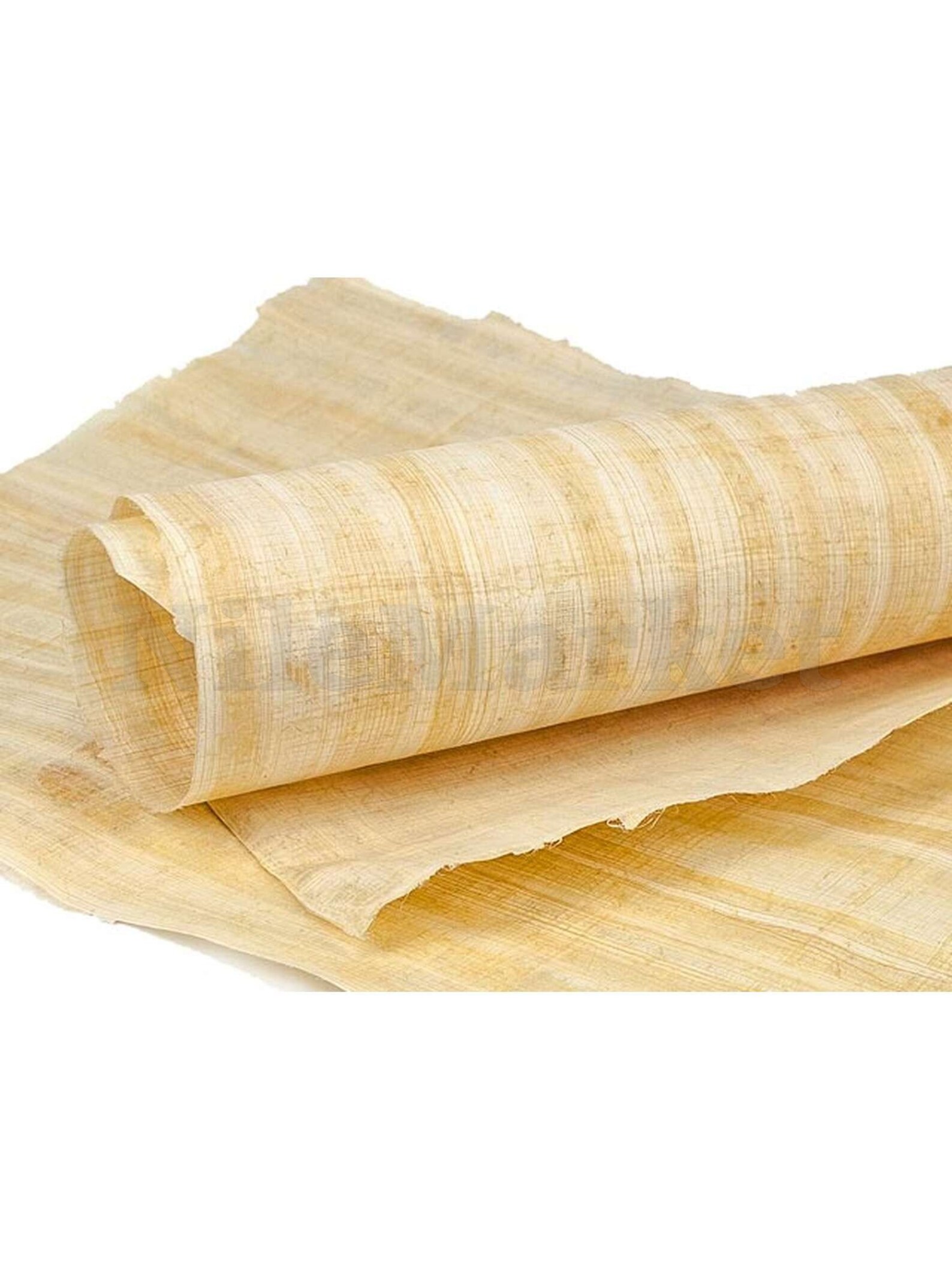 Blank A3 Papyrus Paper Egyptian Handmade Blank Egyptian Papyrus Crafted ...