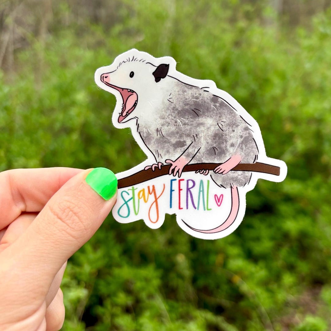 Stay Feral Opossum Decal, Possum Sticker, Water Bottle Sticker ...