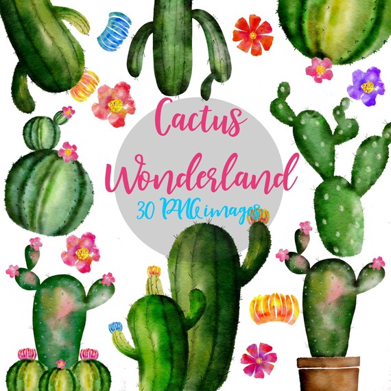 Watercolor Cactus Clipart Succulent Clipart Dessert Wedding - Etsy