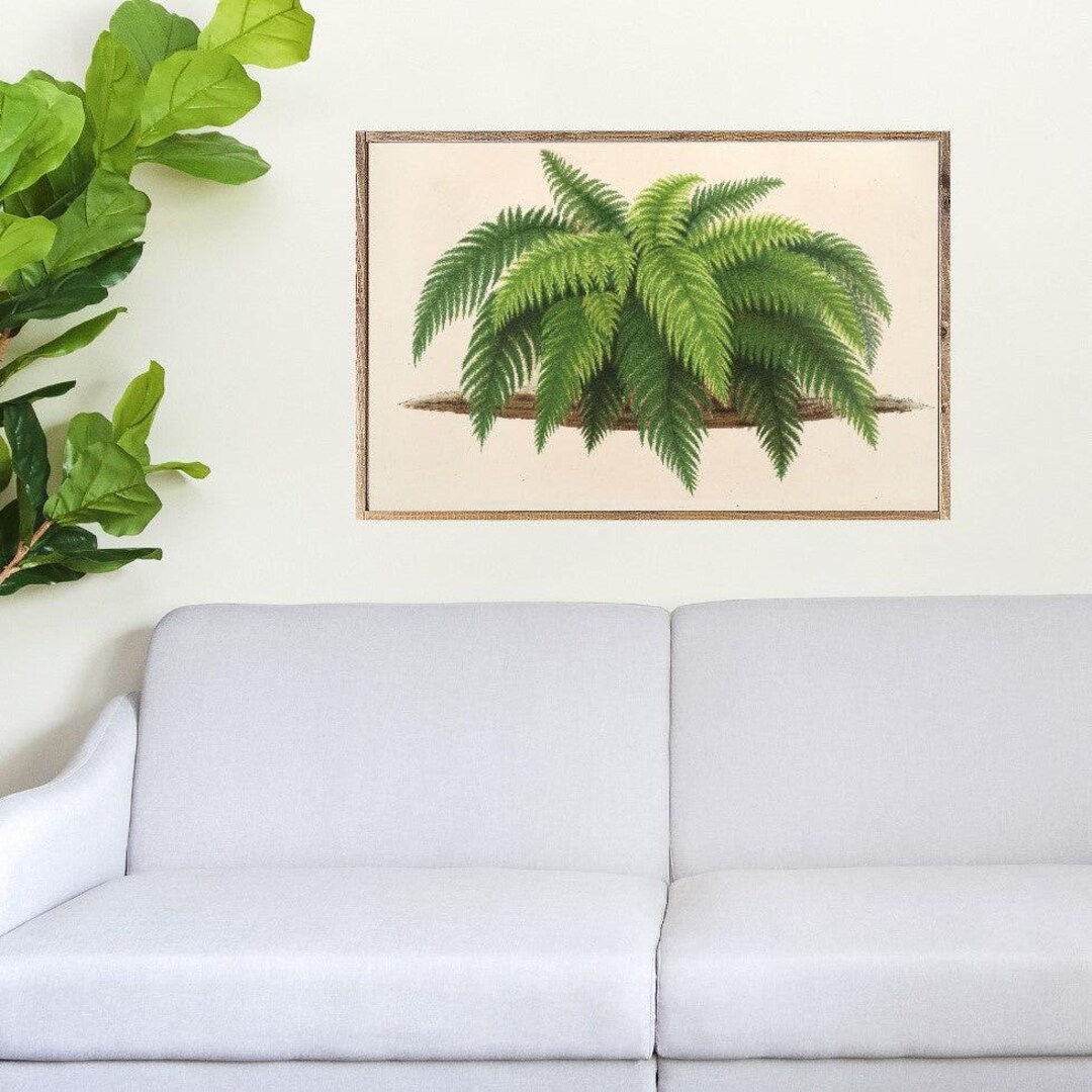 Fern Canvas Printed Sign - Etsy