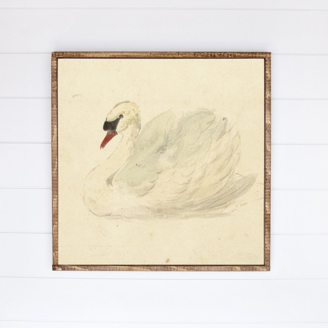 Swan Canvas Printed Sign - Etsy