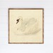 Swan Canvas Printed Sign - Etsy