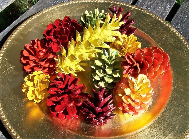 Fall Pine Cones, Painted Pretty Fall Colors. High-quality. Thanksgiving ...