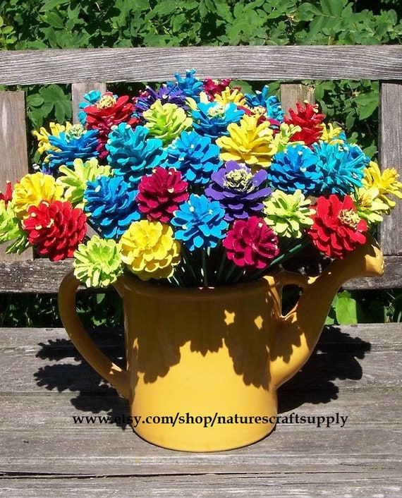 Pine Cone Flowers ORIGINAL Bright and Bold. ONE DOZEN. - Etsy