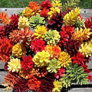 Fall Pine Cone Flowers, ONE DOZEN, ORIGINAL, on 12-inch Stems ...