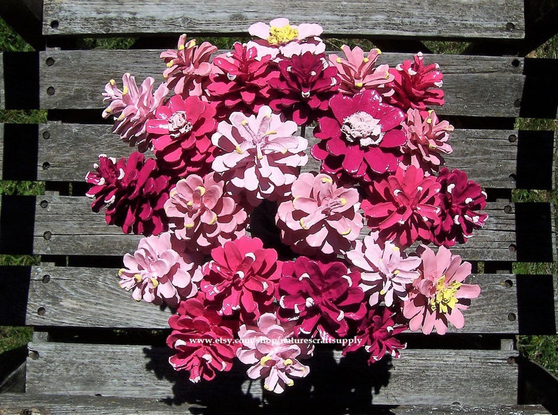 Pine Cone Flowers, in the Pink! the ORIGINAL Pine Cone Flowers on 12 ...