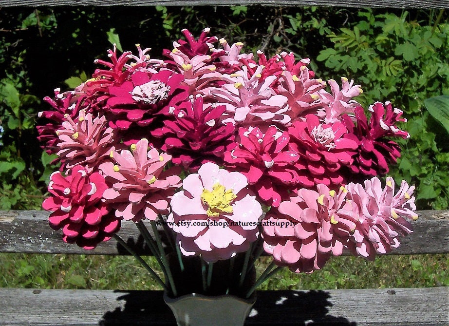 Pine Cone Flowers, in the Pink! the ORIGINAL Pine Cone Flowers on 12 ...
