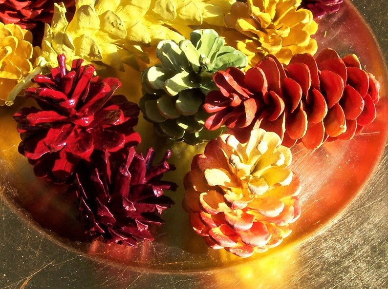 Fall Pine Cones, Painted Pretty Fall Colors. High-quality. Thanksgiving ...