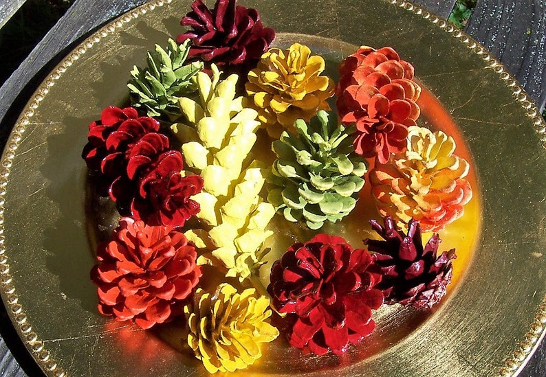 Fall Pine Cones, Painted Pretty Fall Colors. High-quality. Thanksgiving ...