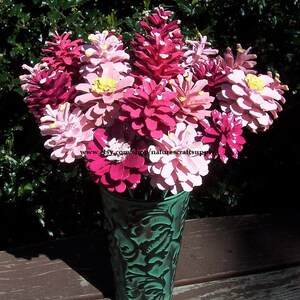 Pine Cone Flowers, in the Pink! the ORIGINAL Pine Cone Flowers on 12 ...