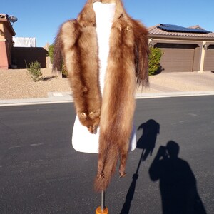 3 Pelt STONE MARTEN Sable Fitch Mink Scarf Scarves Collar Boa Stole ...