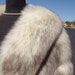 M 8-10 Real BLUE FOX Fur Stole Stoll Shawl Wrap, Ivory W Gray Tips, by ...