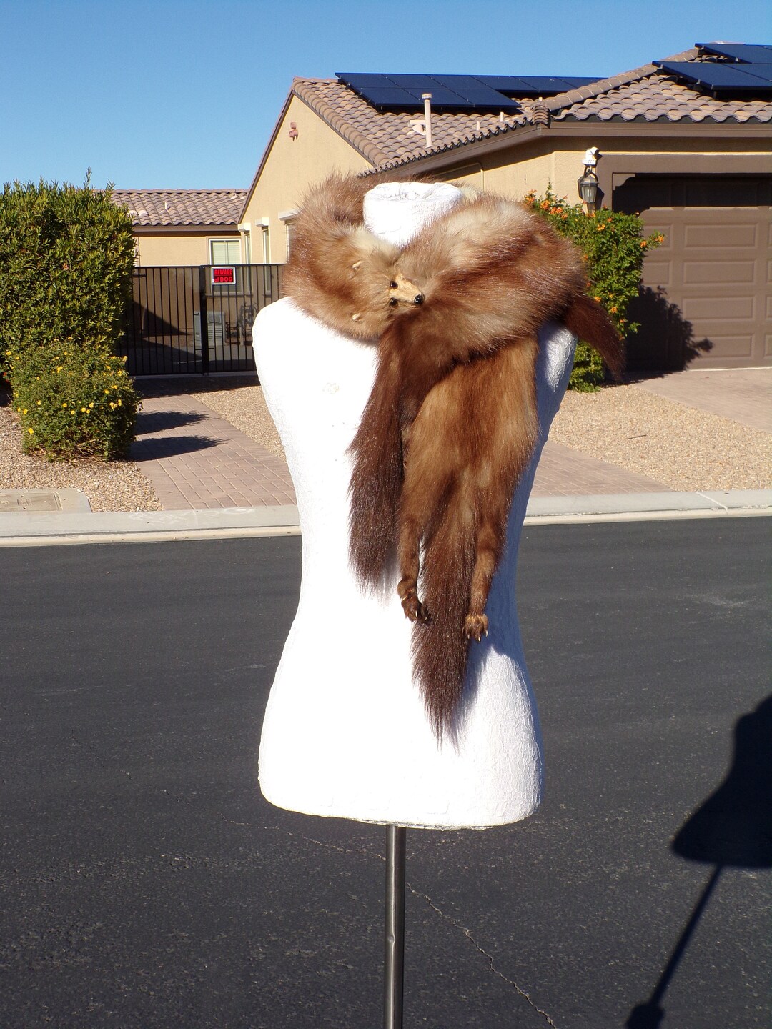 3 Pelt STONE MARTEN Sable Fitch Mink Scarf Scarves Collar Boa Stole ...