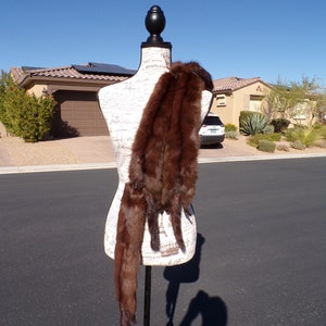 4 Pelt Dark RUSSIAN SQUIRREL Weasel Scarf Scarves Collar Boa - Etsy
