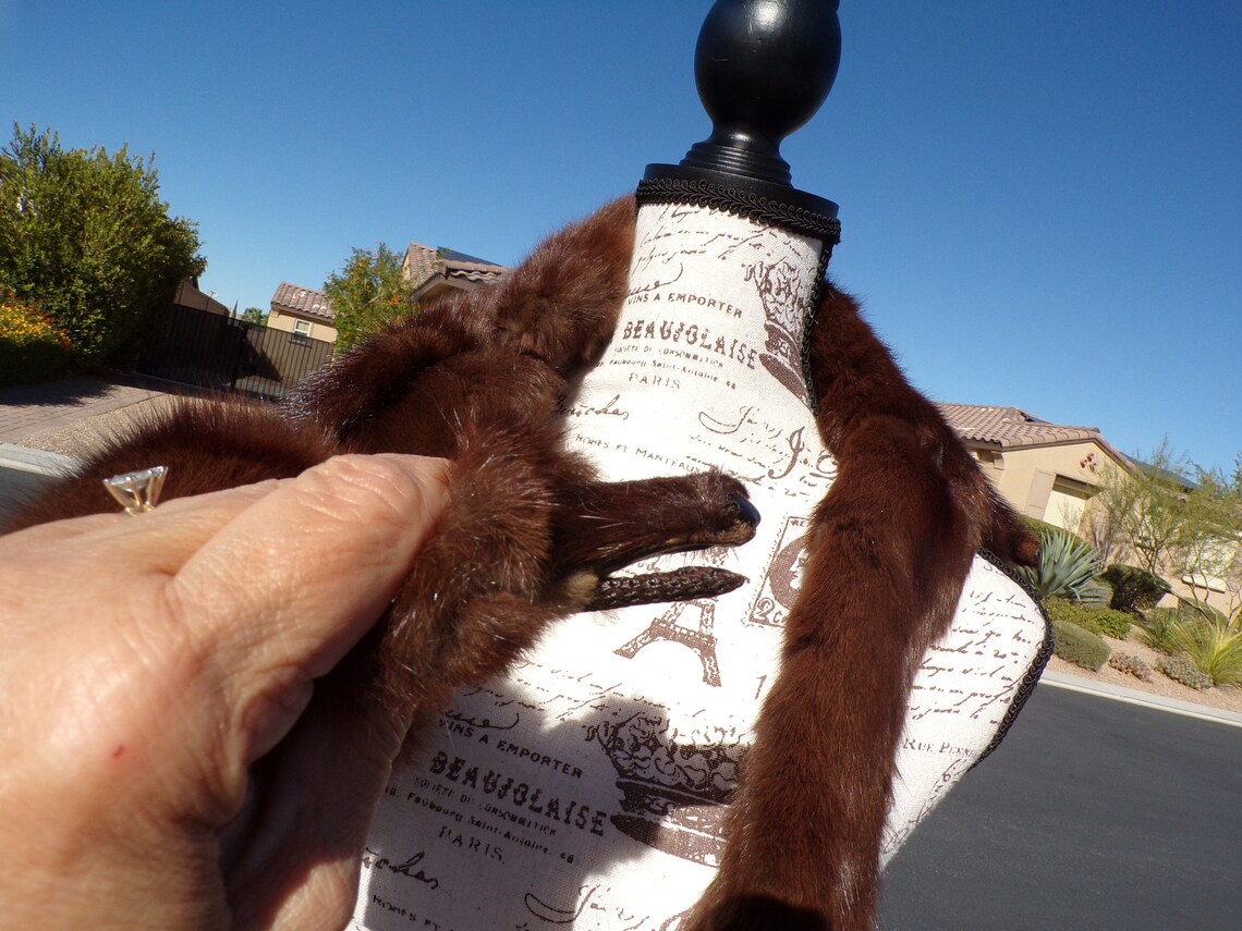 4 Pelt Dark RUSSIAN SQUIRREL Weasel Scarf Scarves Collar Boa - Etsy