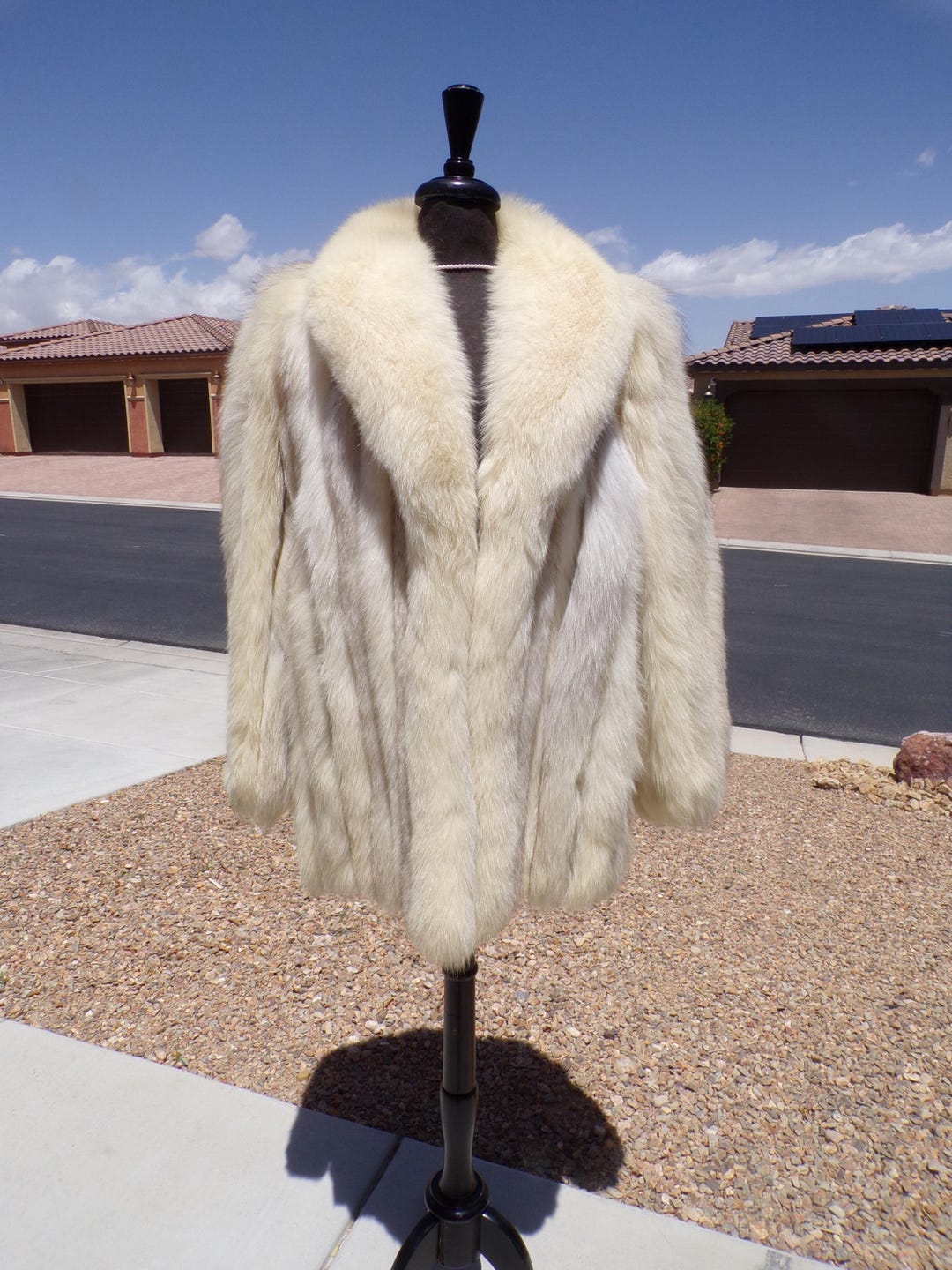 M (10) Real BLUE & SHADOW Fox Fur Jacket Coat, Minor SHEDDING, Hip ...