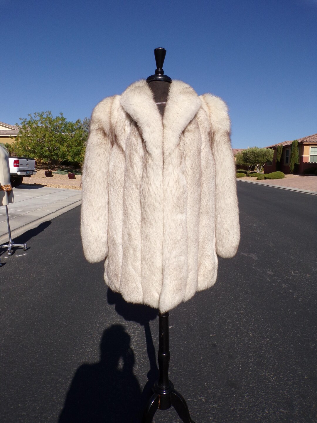 M (10) Real BLUE FOX Fur Jacket Coat, Hip-length, Ivory W Gray Tips ...