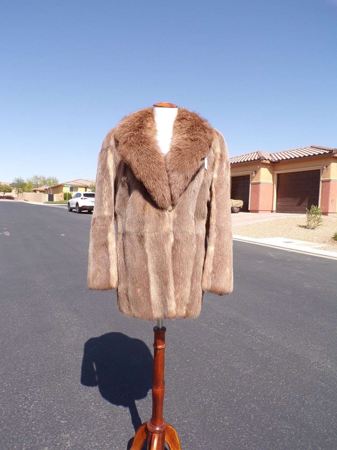 M (8) Real NUTRIA FUR W FOX Fur Collar, Jacket Coat Stroller, Hip ...