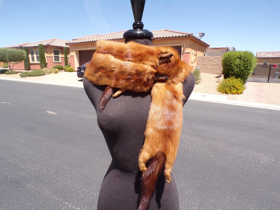 4 Pelt Copper MINK Scarf Scarves Collar Boa Stole Stoll, Real MINK Full ...