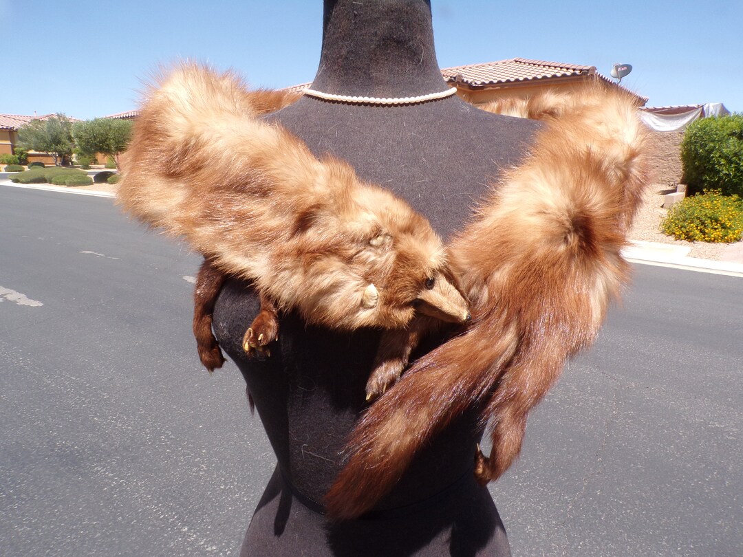3 Pelt STONE MARTEN Sable Fitch Mink Scarf Scarves Collar Boa Stole ...