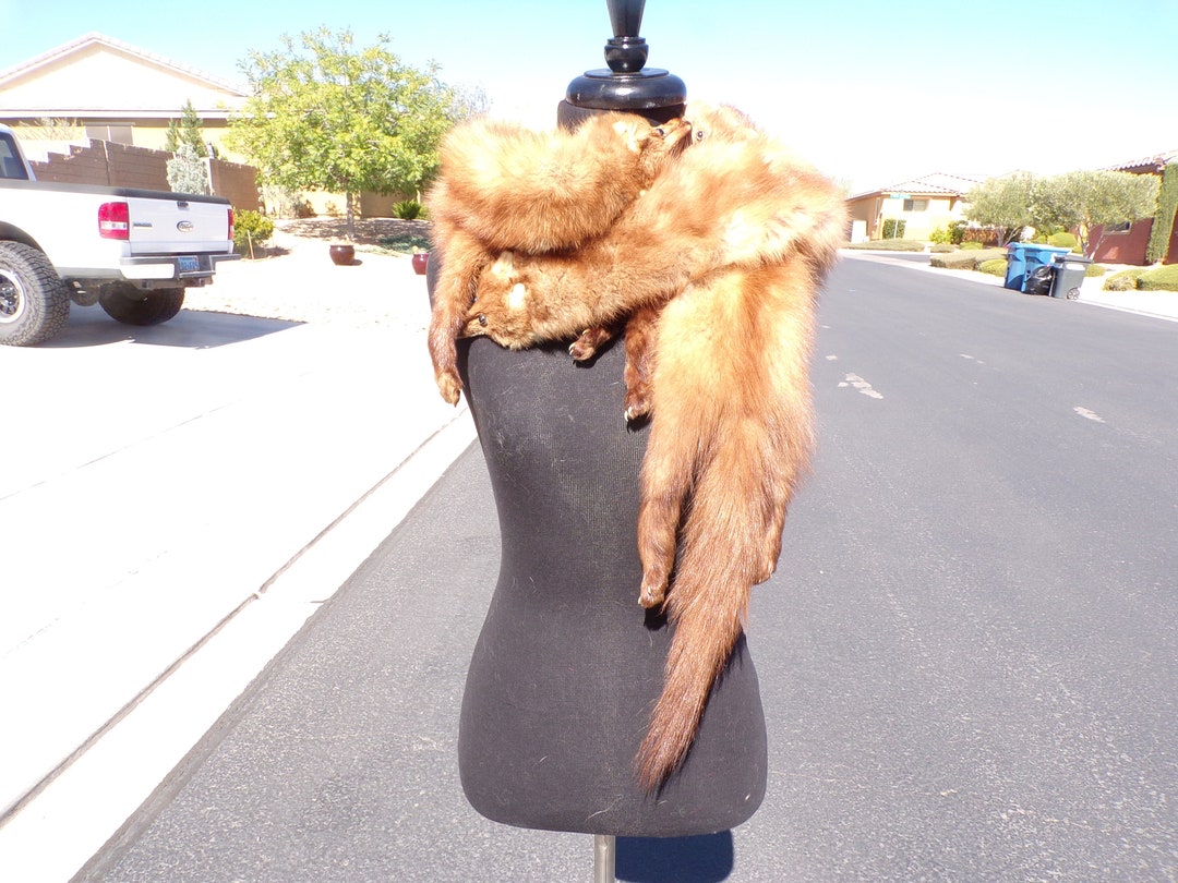 XL 4 Pelt BAUM MARTEN Sable Mink Scarf Scarves Collar Boa Stole, Real ...