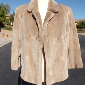 L-P (12P) Real SHEARED BEAVER Jacket Hip-length, Blonde Beaver ...
