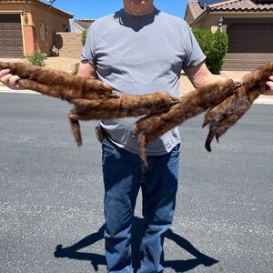 4 Pelt Brown MINK Scarf Scarves Collar Boa Stole Stoll, Real MINK Full ...