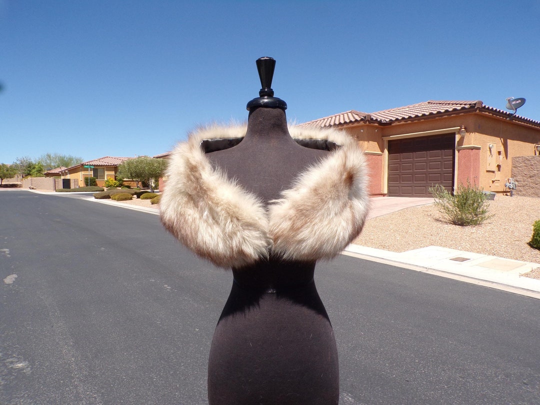 M-L (10-12) Real BLUE FOX Fur Stole Stoll Shawl Wrap, Ivory W Brown ...