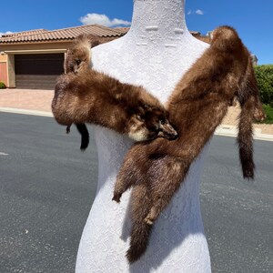 4 Pelt Brown MINK Scarf Scarves Collar Boa Stole Stoll, Real MINK Full ...